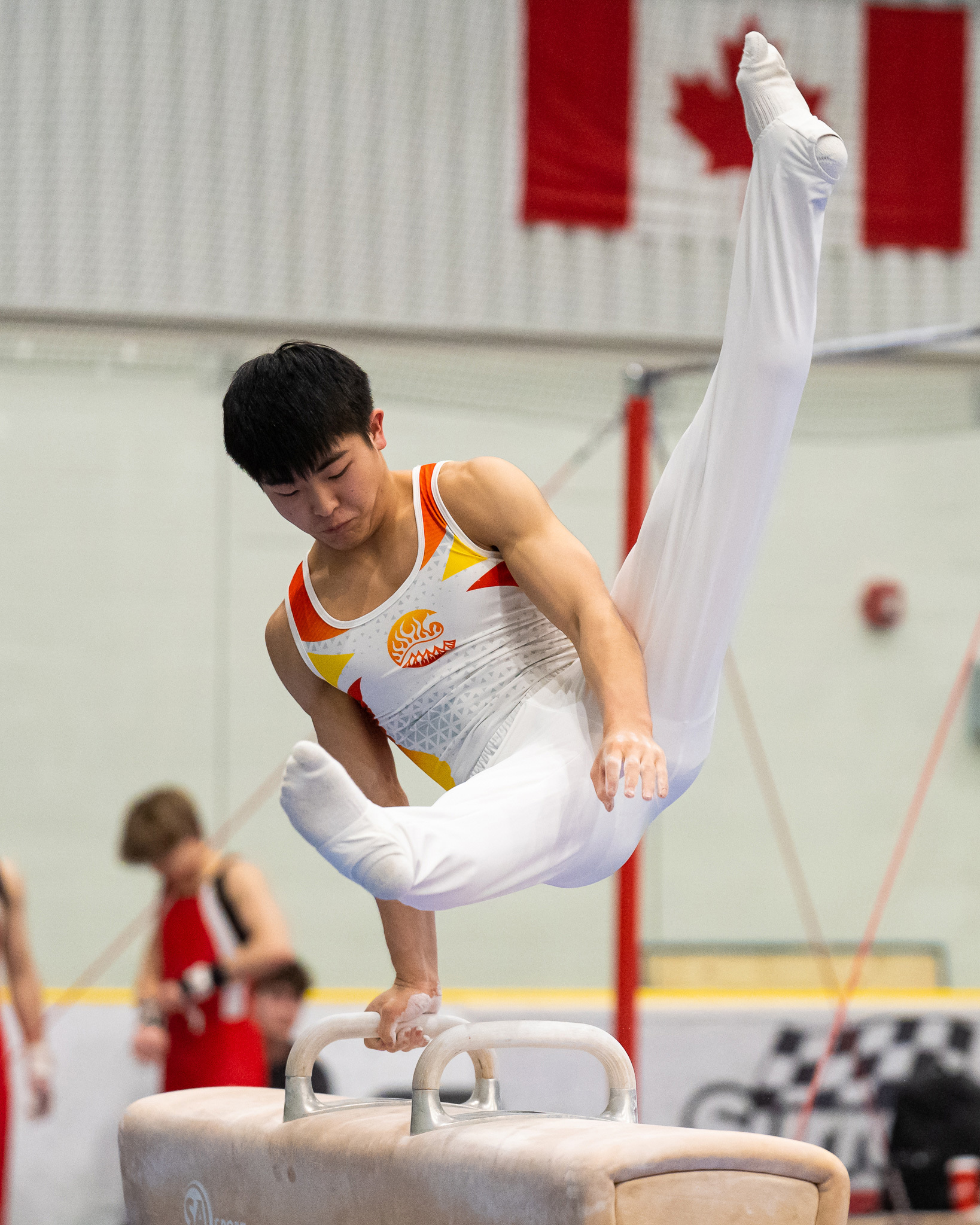 Men's Artistic Gymnastics | Gymnastics BC